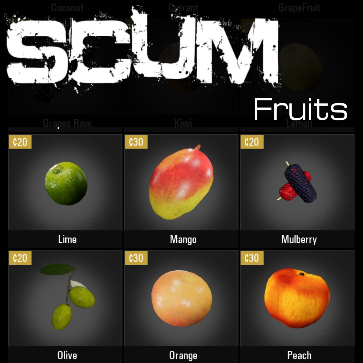 果物 - SCUM - | Midnight Melody